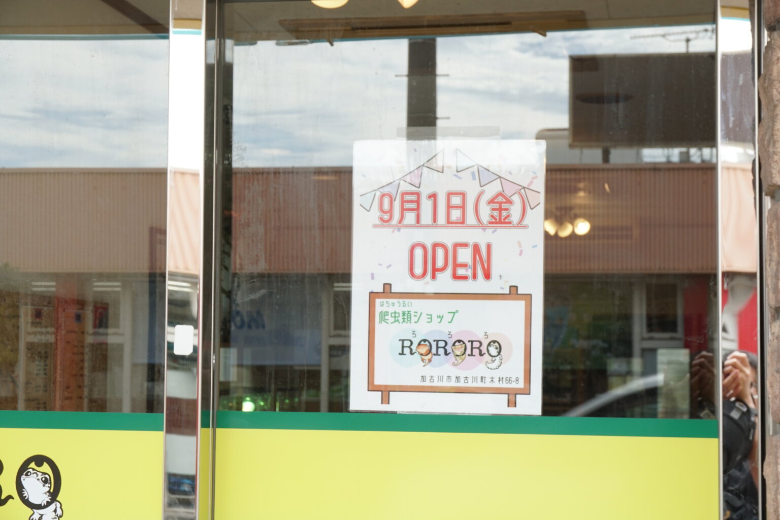 【開店】はちゅう類ショップはちゅ好き -RORORO- 加古川店が9/1に木村にオープン！【店内を見せてもらいました！】 | かこがわノート