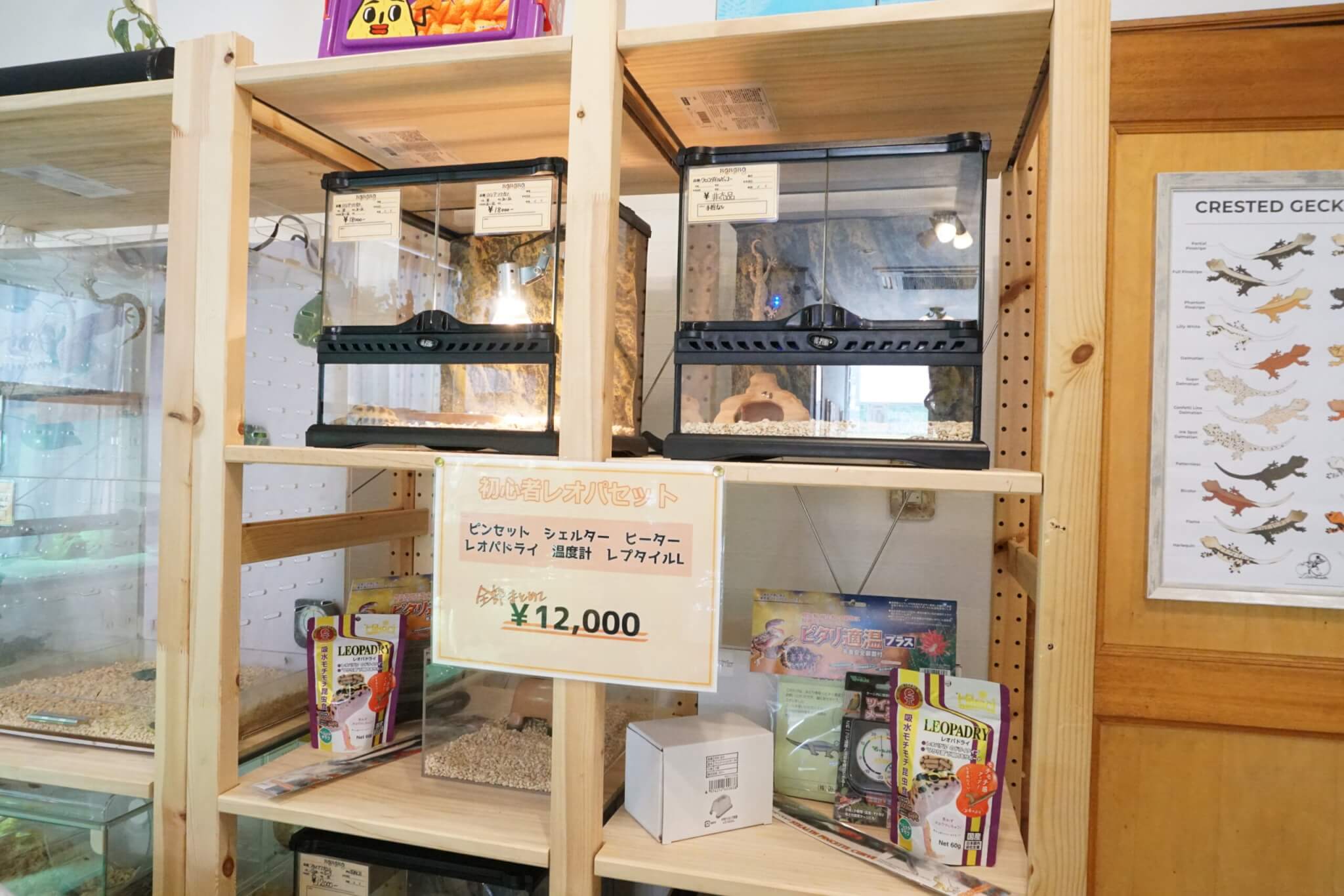 【開店】はちゅう類ショップはちゅ好き -RORORO- 加古川店が9/1に木村にオープン！【店内を見せてもらいました！】 | かこがわノート